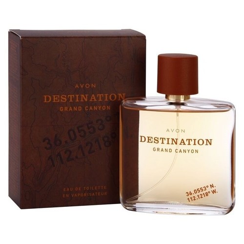 AVON Destination Grand Canyon Eau de Toilette Spray for Him 75 ml New ...