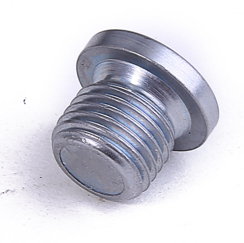 10Pcs Engine Oil Drain Plug & Gaskets For VW Golf Passat AUDI A3 A4 | eBay