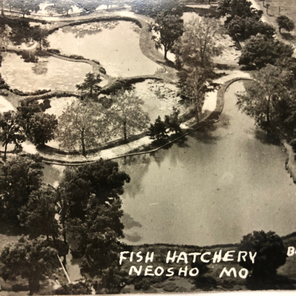 Vintage Fish Hatchery Postcard 1947 Neosho Montana | eBay