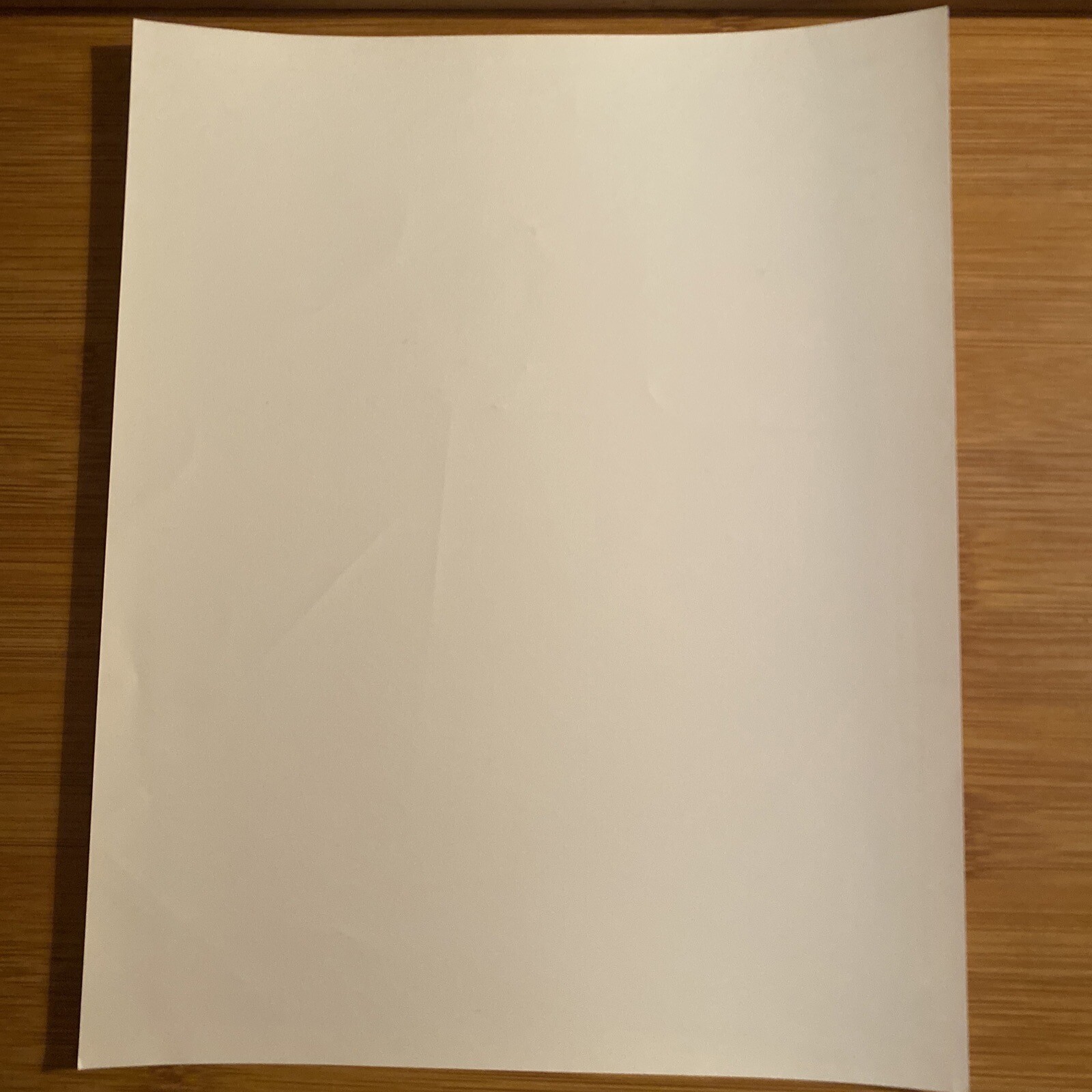 Lilys Press Photo 8x10”. Kurt Heasley. See Description. | eBay