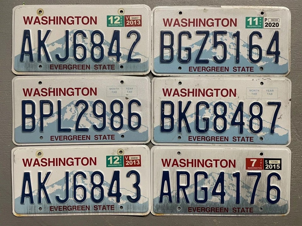 WASHINGTON LICENSE PLATE EVERGREEN 🌲 STATE RANDOM LETTERS/NUMBERS FAIR ...