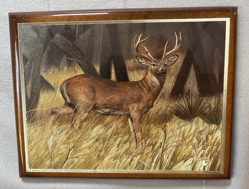 Original 1986 Scafa-Tornabene Foil Art Whitetail Buck 6¼" x 8¼" England ...