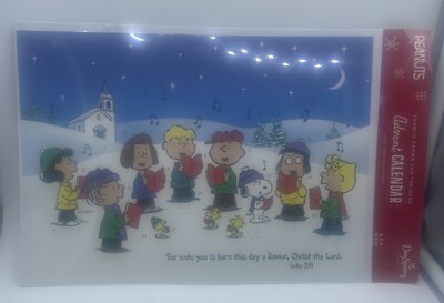 Peanuts Charlie Brown & Friends Christmas Advent Calendar New Hallmark ...