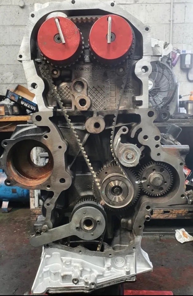 Ford Transit, Custom, Ranger 2.0 Ecoblue Wet Belt Timing Belt ...