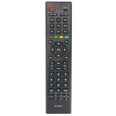 ER-22601A Replace Remote for Hisense TV 24D33 24F33 32D50 40D50P 40D50 ...