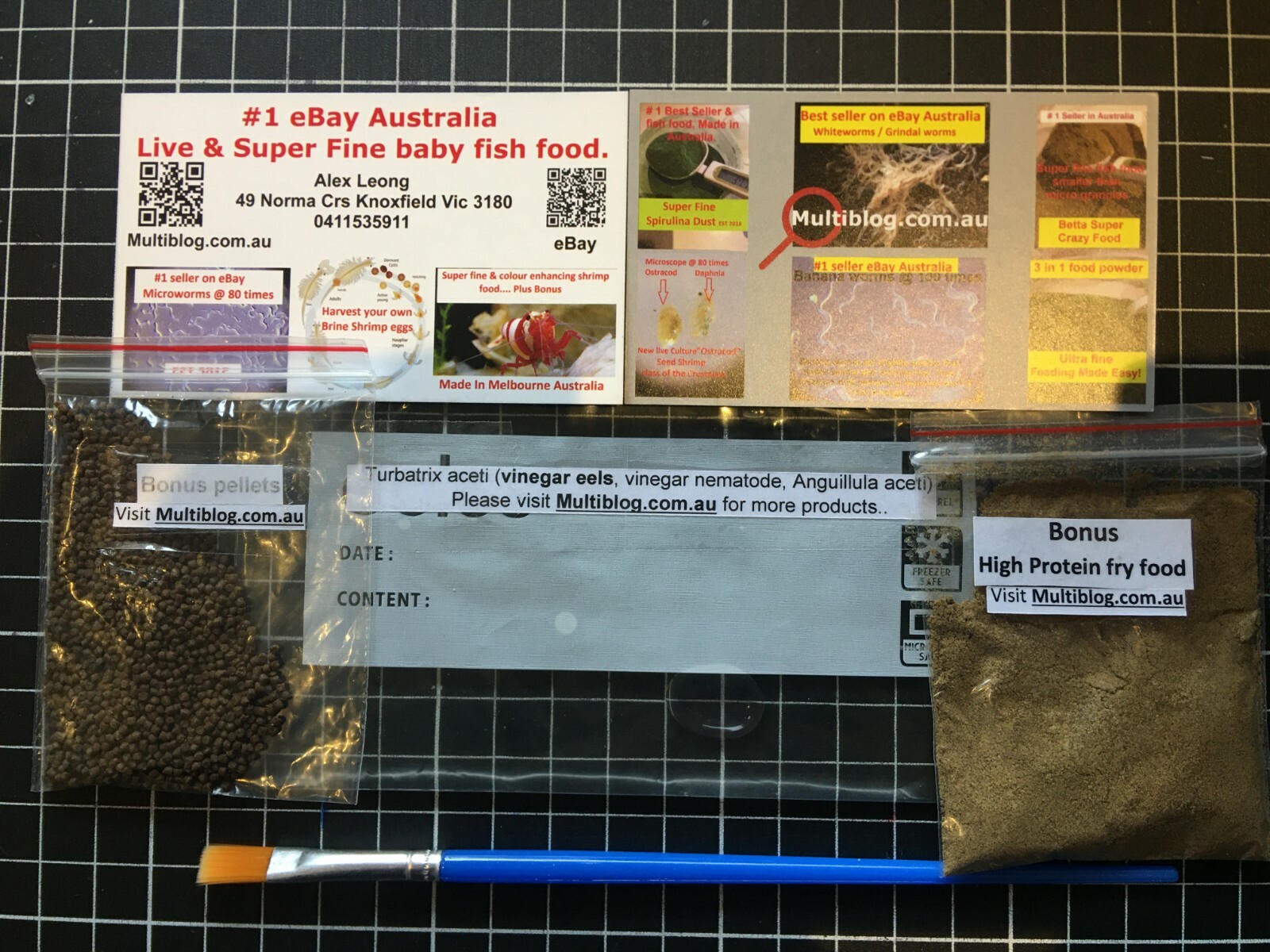 Live Brine vinegar eels,shrimps , micro worms,Turbatrix aceti,daphnia ...