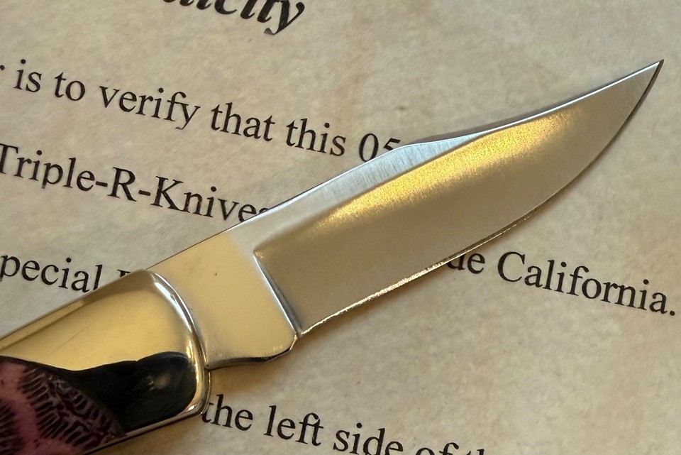 STUNNING BUCK CUSTOM TRIPLE R BRAIN CORAL 055 KNIFE NEVER USED N5 | eBay