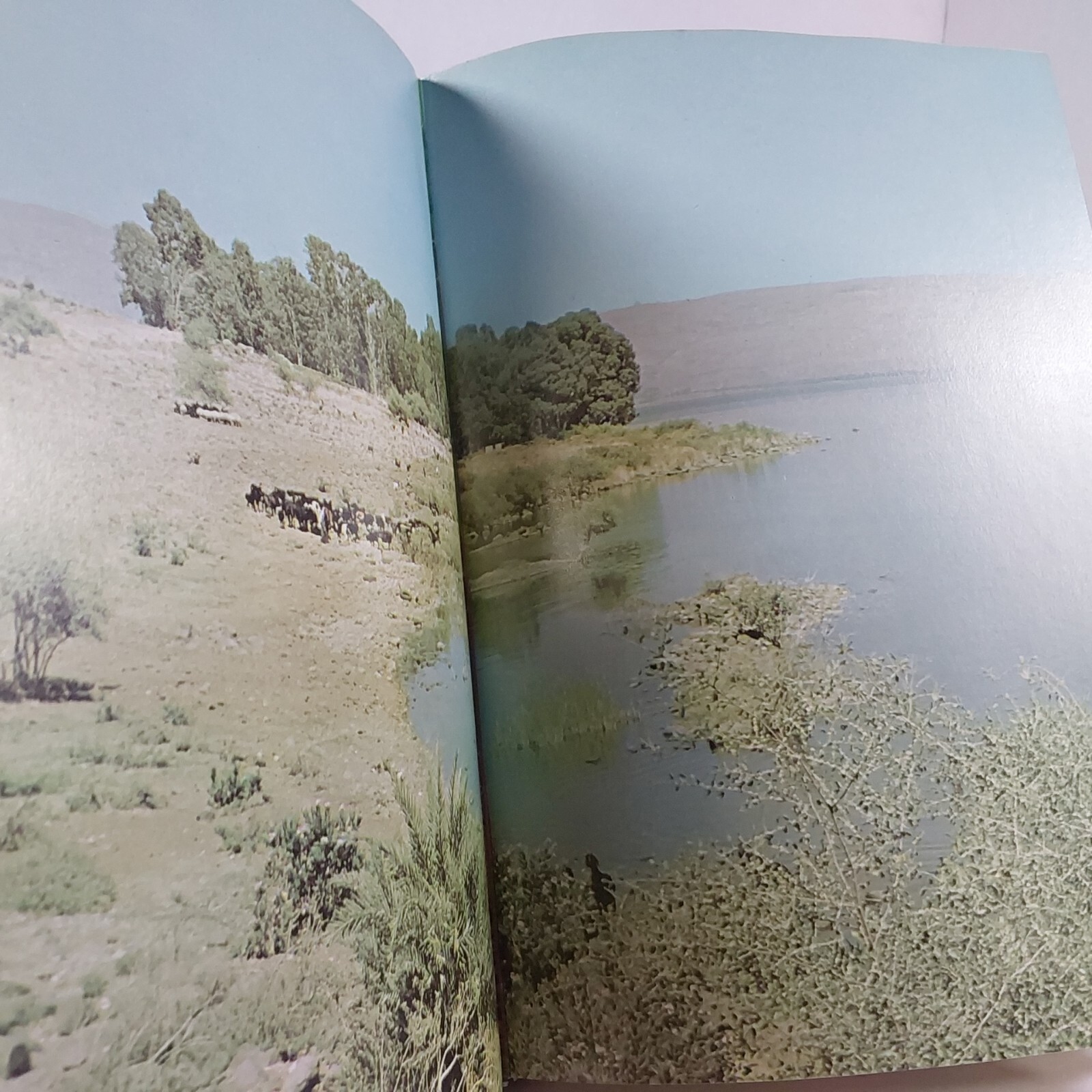 Davis Dictionary of the Bible by John D. Davis HC Old Time Gospel Hour ...