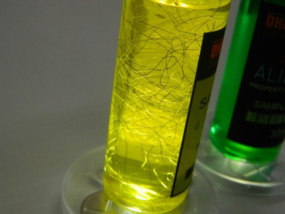 Sasquatch, Area 51 Alien DNA Combo Halloween Prop Cosplay Real Medical ...