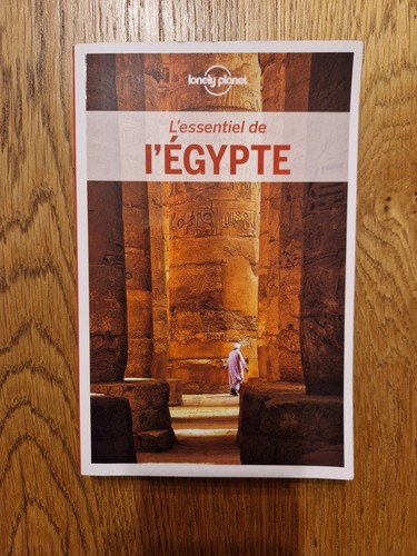 Guide voyage Egypte Lonely planet dernière édition | eBay