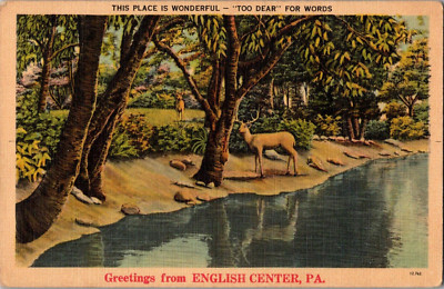 Postcard Greetings From English Center PA "To Dear" For Words Linen ...