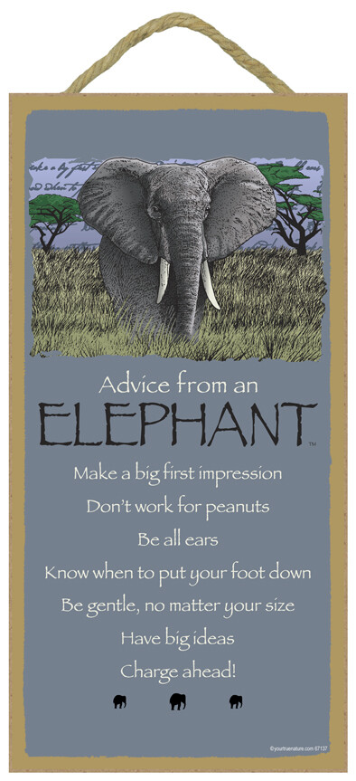 Elephant Insurance Quotes