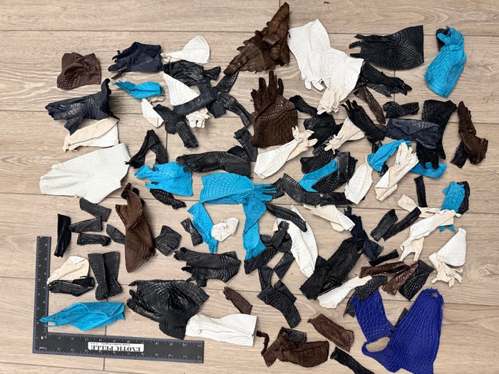 Crocodile Scraps Remnants Piece Hide Leather Skin Scrap Gator Croc ...