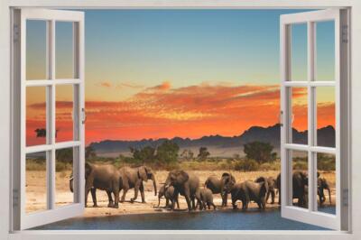 Elephants Sunset 3D Window Decal Wall Sticker Home Decor Art Mural ...