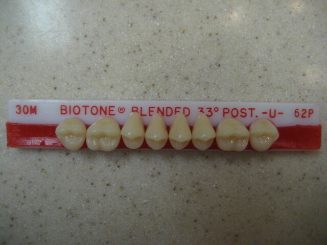 Dentsply Denture Teeth Biotone Blended 33° Upper Posterior 30M/62P ...