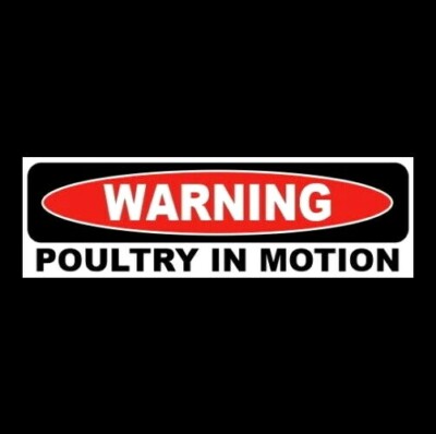 Funny "POULTRY IN MOTION" chicken farmer BUMPER STICKER farm use ...