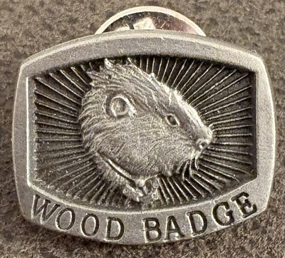 BOY SCOUTS OF AMERICA WOOD BADGE BEAVER HIKING STAFF STICK SHIELD ...
