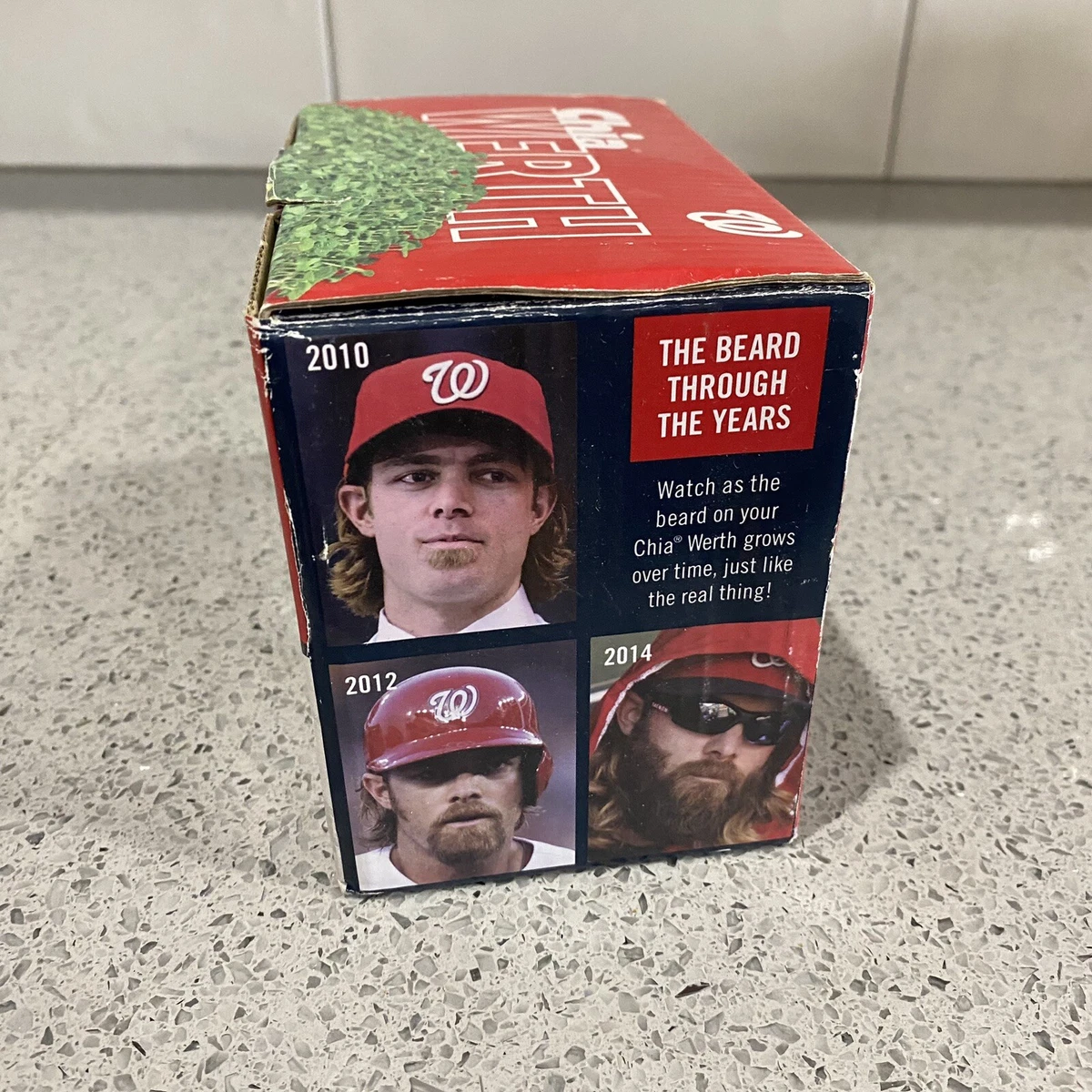 Jayson Werth Beard
