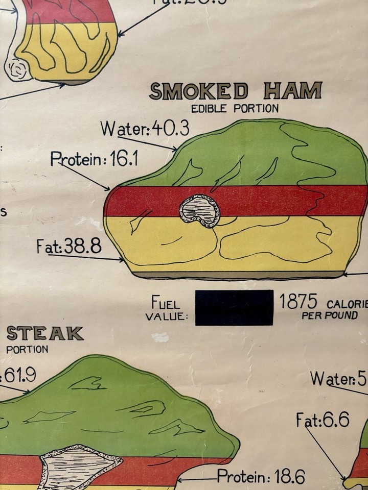 Composition of Food Materials Dept of Agriculture Poster 1914 | eBay