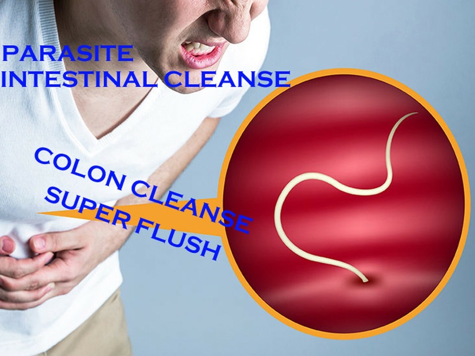 500 Parasite Intestinal Cleanse Colon Cleanse Super Flush Detox Candida ...