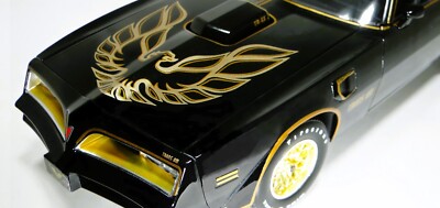 Trans AM Pontiac Firebird Custom Built Metal Body Model Race Car1969 ...