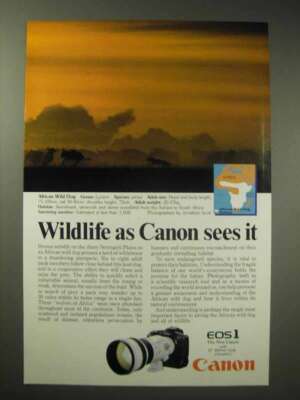 1990 Canon EOS 1 Camera Ad - African Wild Dog | eBay