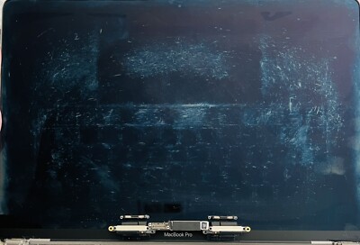 Apple MacBook Pro 15" A1990 LCD Screen Display Genuine Gray 2018 2019 ...