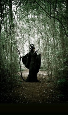 Maleficent Evil Queen Costume Cloak Gown Cosplay Halloween like Disney ...