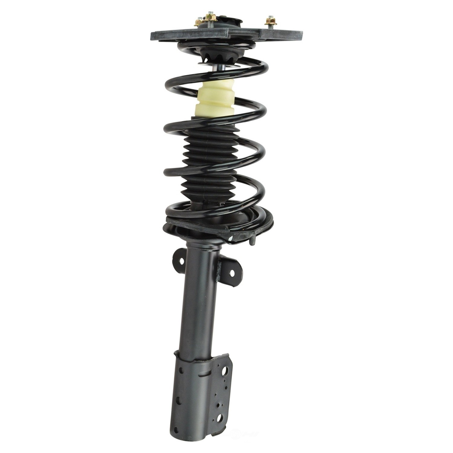 Suspension Strut and Coil Spring Assembly-Strut and Spring Assembly TRQ ...