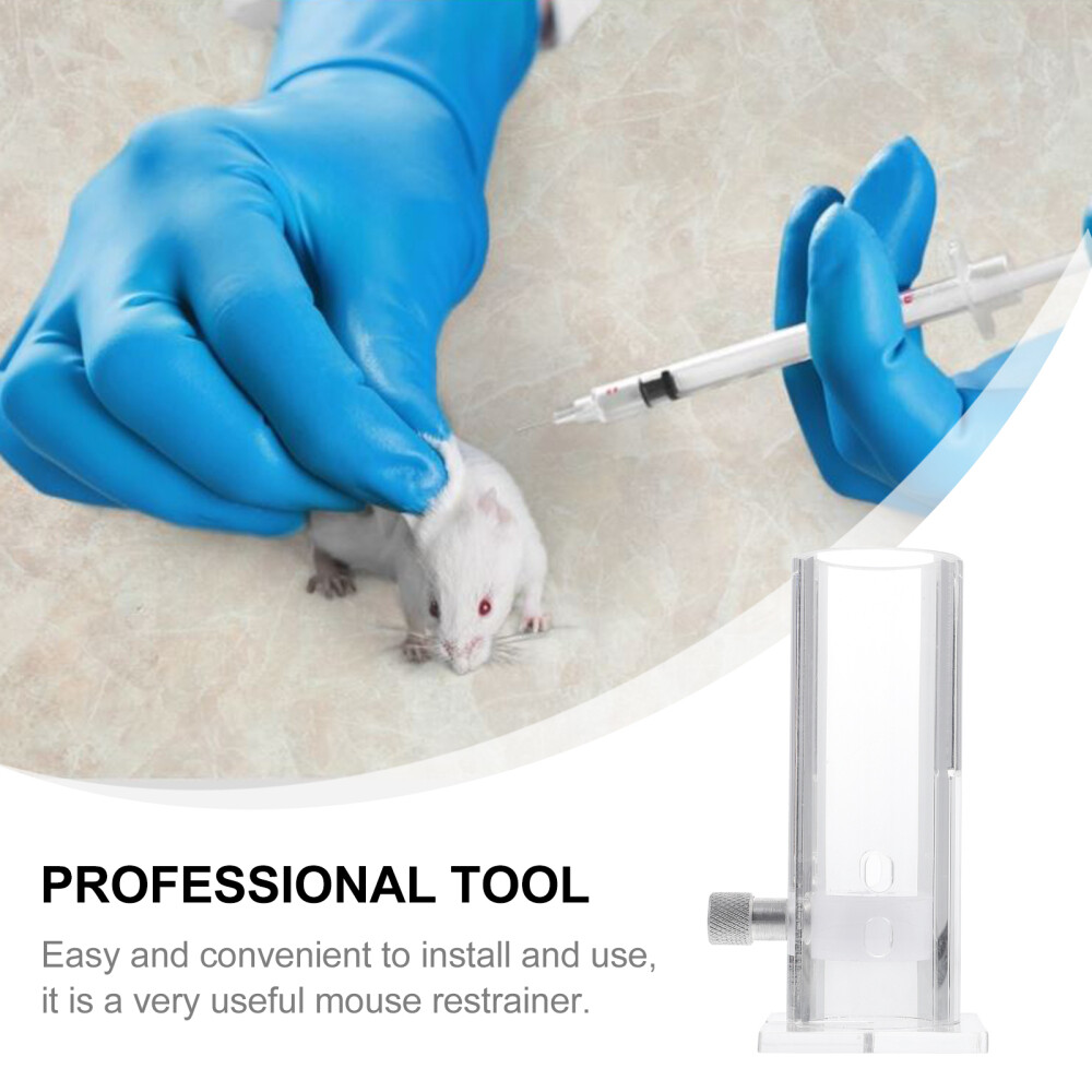 Intravenous Injection Mice