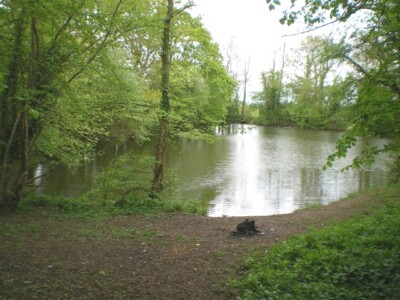Photo 6x4 Pool at the north end of Limekiln Wood Arleston One of a ...
