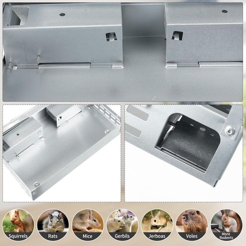 4 Pack Multi Catch Mice Trap Clear Top Humanized Mouse Trap Rodent for ...