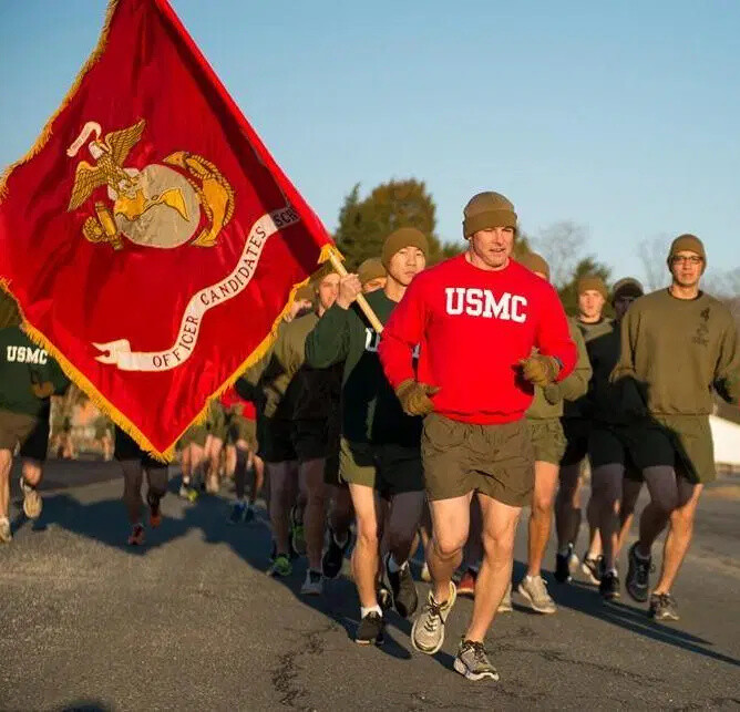 Marine Corps PT Shorts - USMC Green Running Shorts - US Military Gym ...
