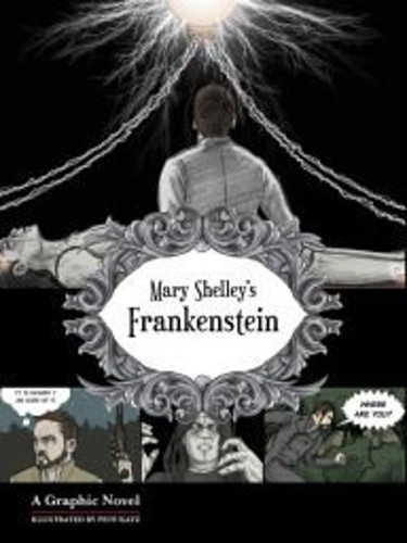 Frankenstein: a Graphic Horror Novel Mary Shelley | eBay
