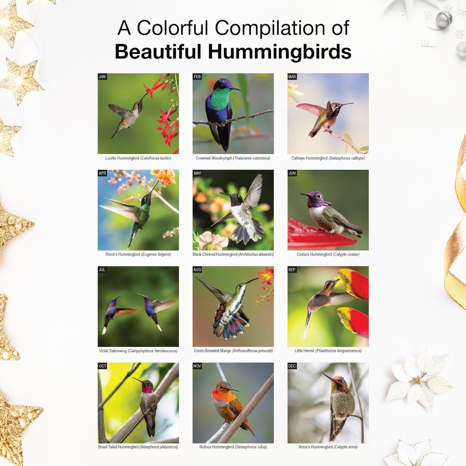 Hummingbirds 2026 Wall Calendar 12 Month | 12" x 24" Open | Thick ...