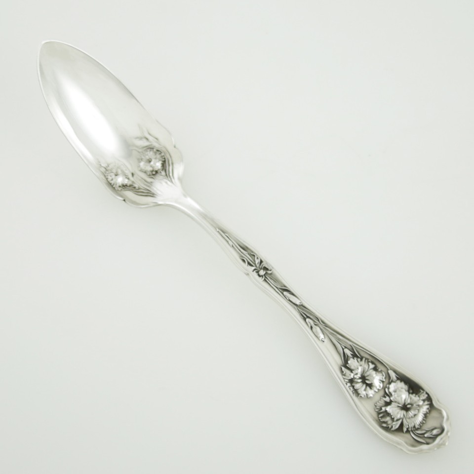 Oneida CARNATION Silverplate 1908 WR Keystone Silverware Flatware ...