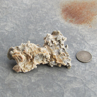 Natural Gobi stone ventifact for Bonsai Suiseki pj738 | eBay