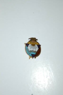 SWEDISH LAPEL PIN | eBay