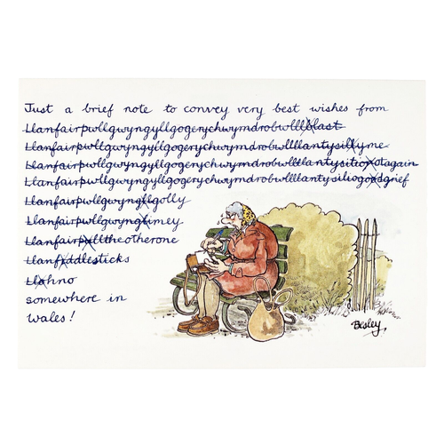 Welsh Woman Writing Letter Postcard 4x6 Rupert Besley Comic Cartoon Art ...