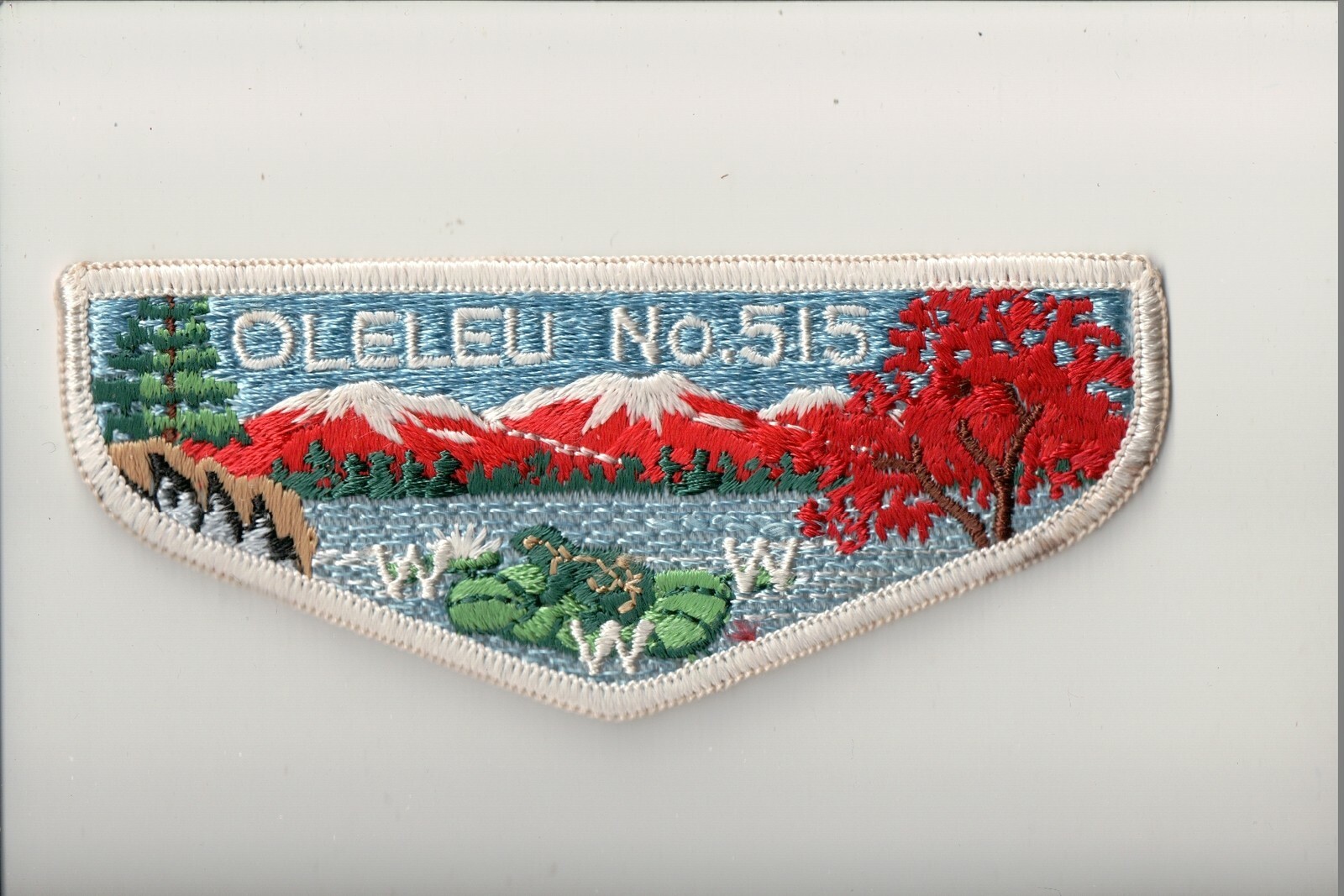 Lodge 515 Oleleu F-5b OA flap | eBay