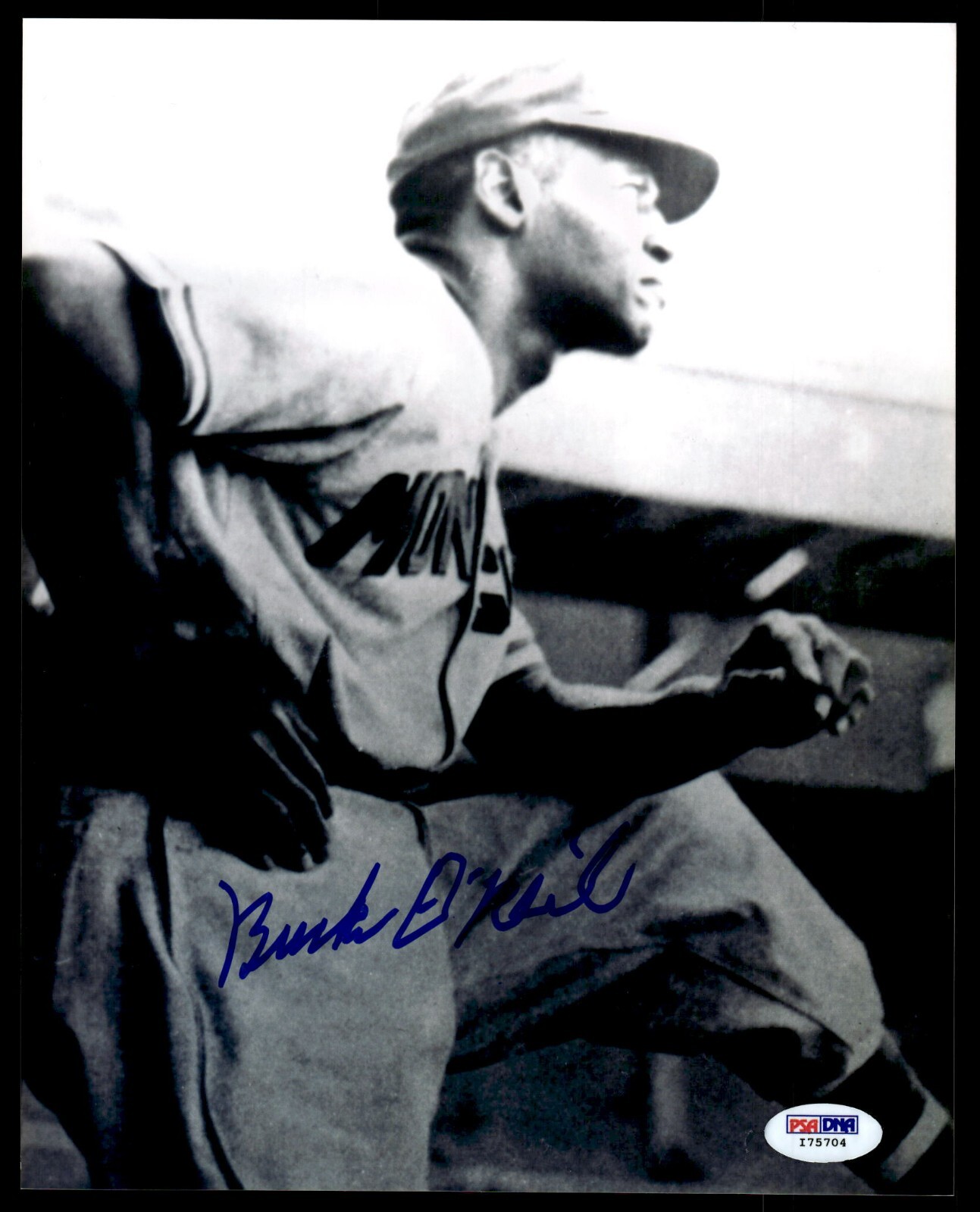 Buck O'Neil Autographed Memorabilia | Signed Photo, Jersey ...