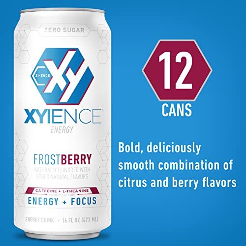 Xyience Frostberry Blast Energy Drink, 16 Fl Oz Can (Pack of 12) | eBay
