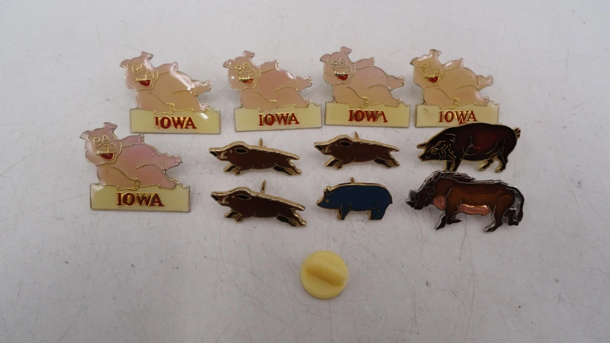 Iowa Pig Lot