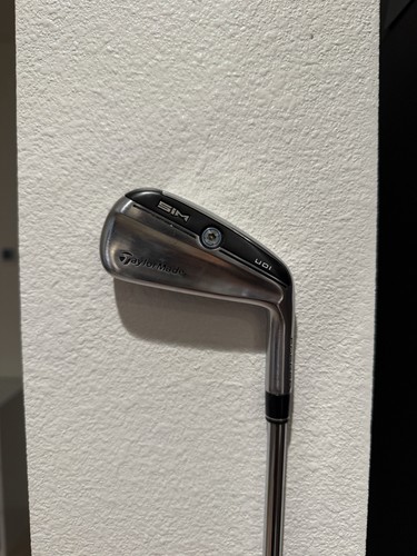Taylormade SIM UDI 3 Iron Dynamic Gold X100 Steel Shaft Right Handed | eBay