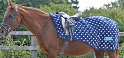 Horse exercise rug maxima Equestrian | eBay UK