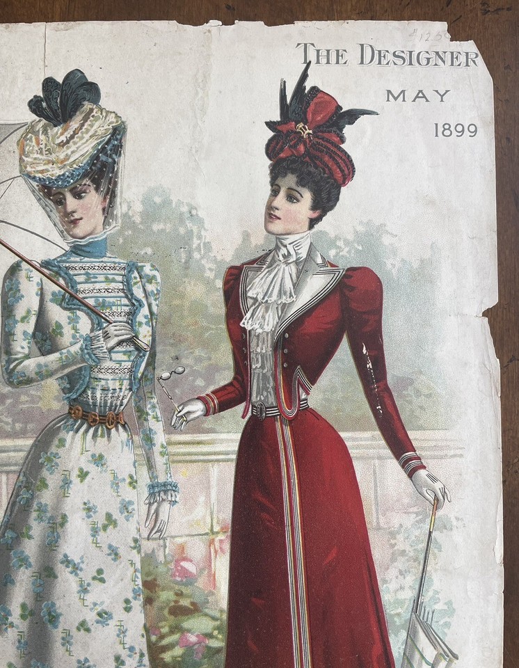 1899 THE DESIGNER Antique Original Litho Plate VICTORIAN FASHION Womens ...