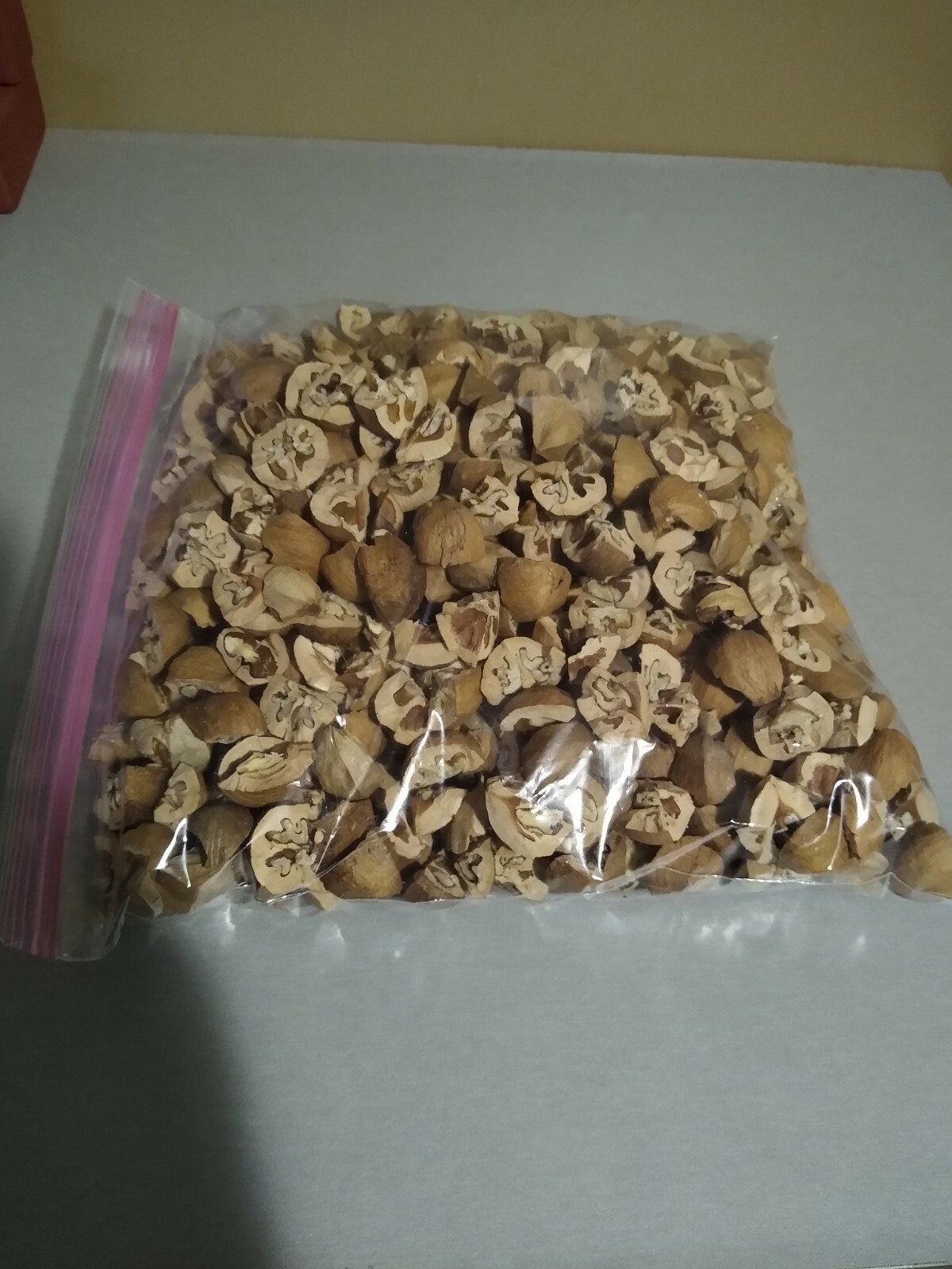 (2LB) Cracked Hickory Nuts: Wild, Organic, Kentucky Shagbark ...