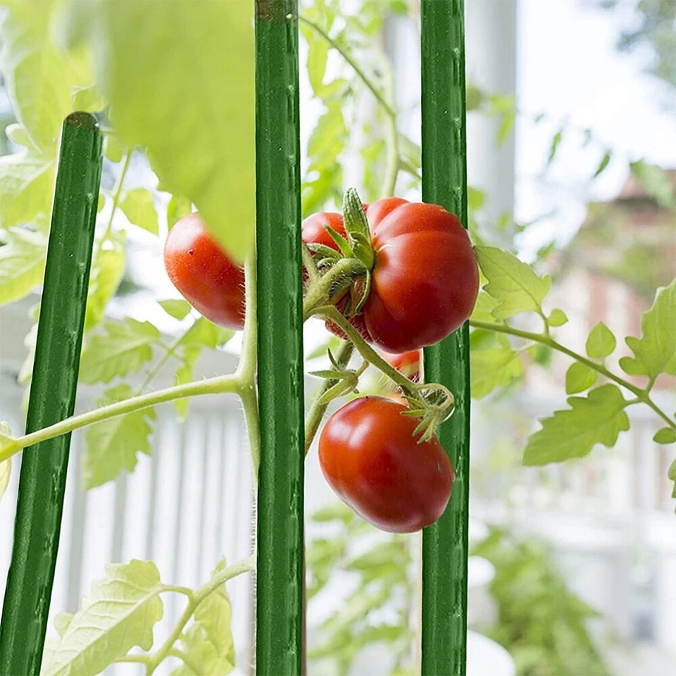 25 Pack 2/3FT Garden Stakes Plant Support For Fence Tomato Cucumer ...