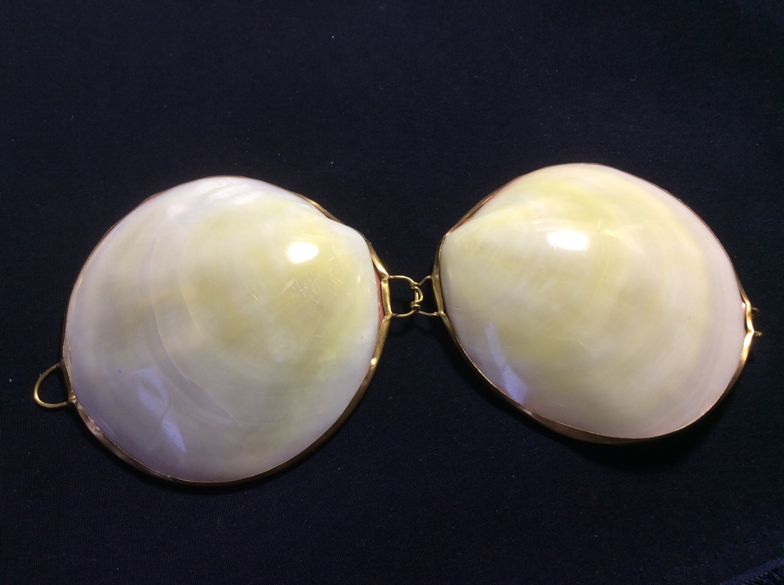 White Clam Sea shell Brass Hinged Snuff Pill coin Jewelry Trinket Box ...