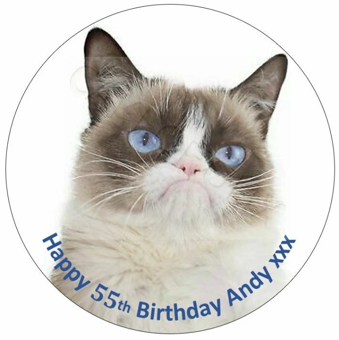 Grumpy Cat And Happy Cat